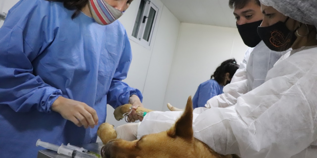 Prensa La Costa - Municipalidad de la Costa